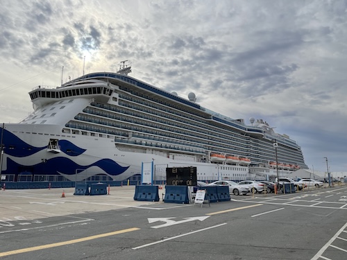 Princess Cruises: Top 10 Things To Do Onboard